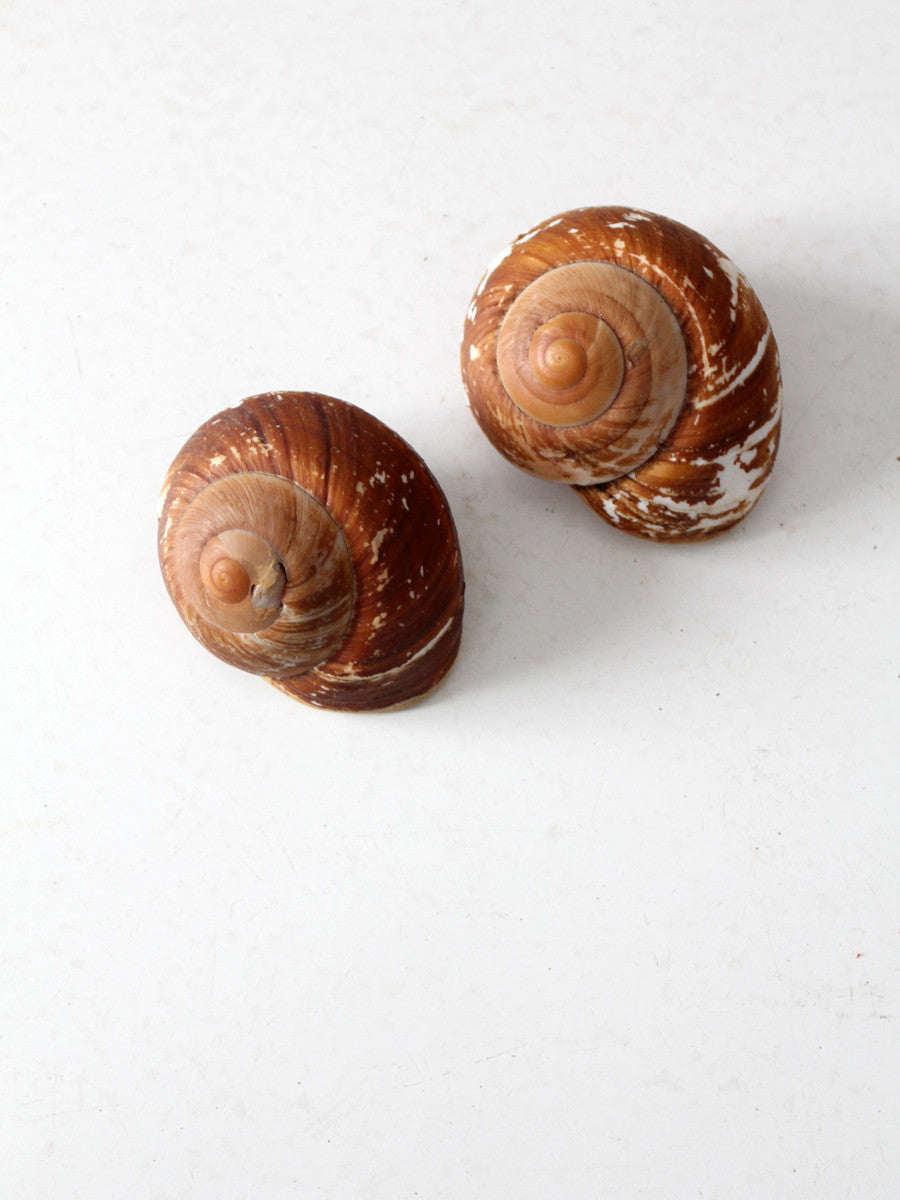 snail shell pair – 86 Vintage